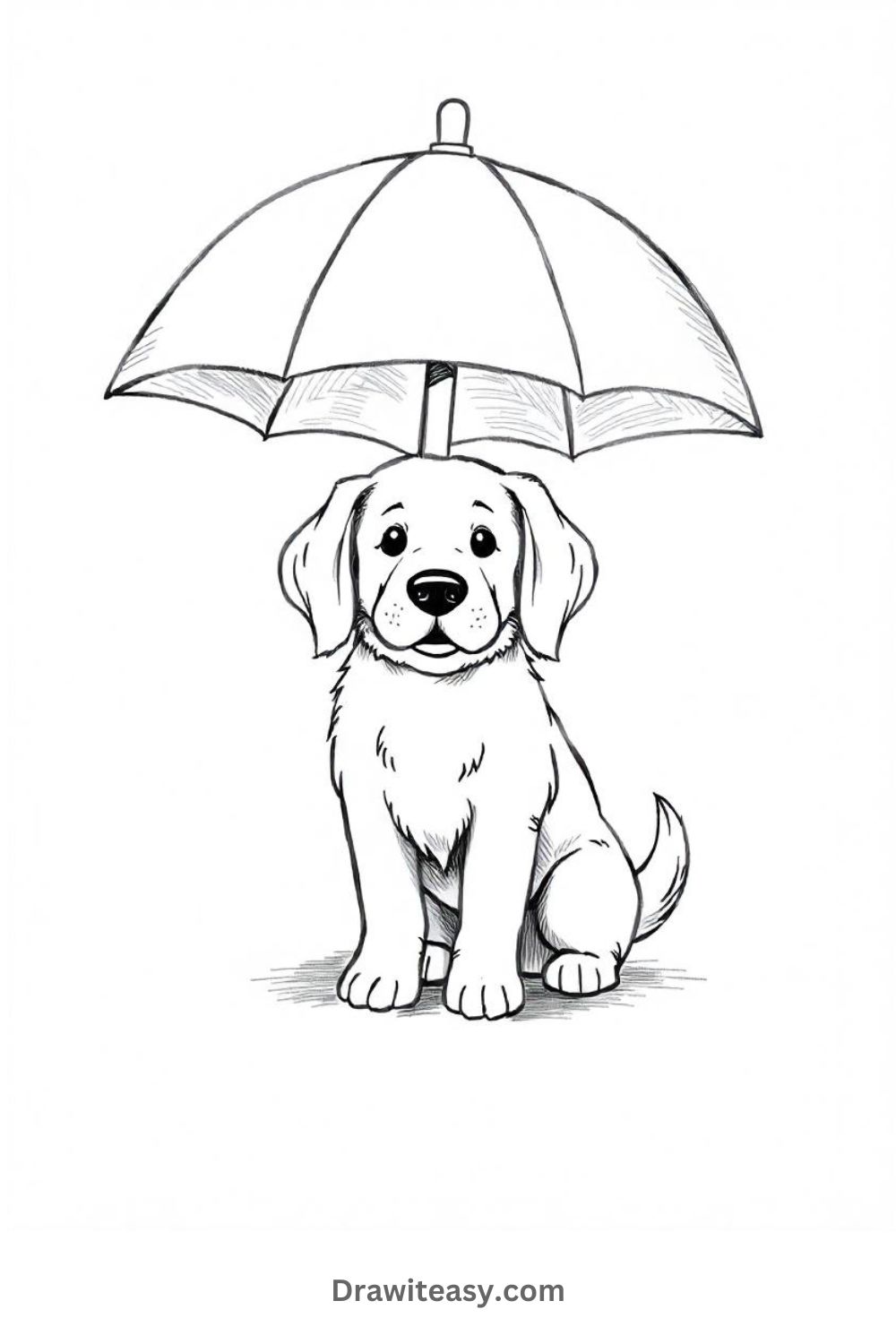30 Cute Easy Dog Drawing Ideas - Draw It Easy