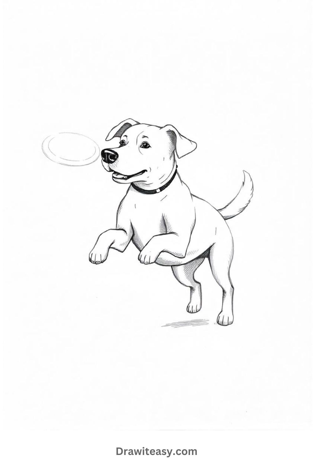 30 Cute Easy Dog Drawing Ideas - Draw It Easy