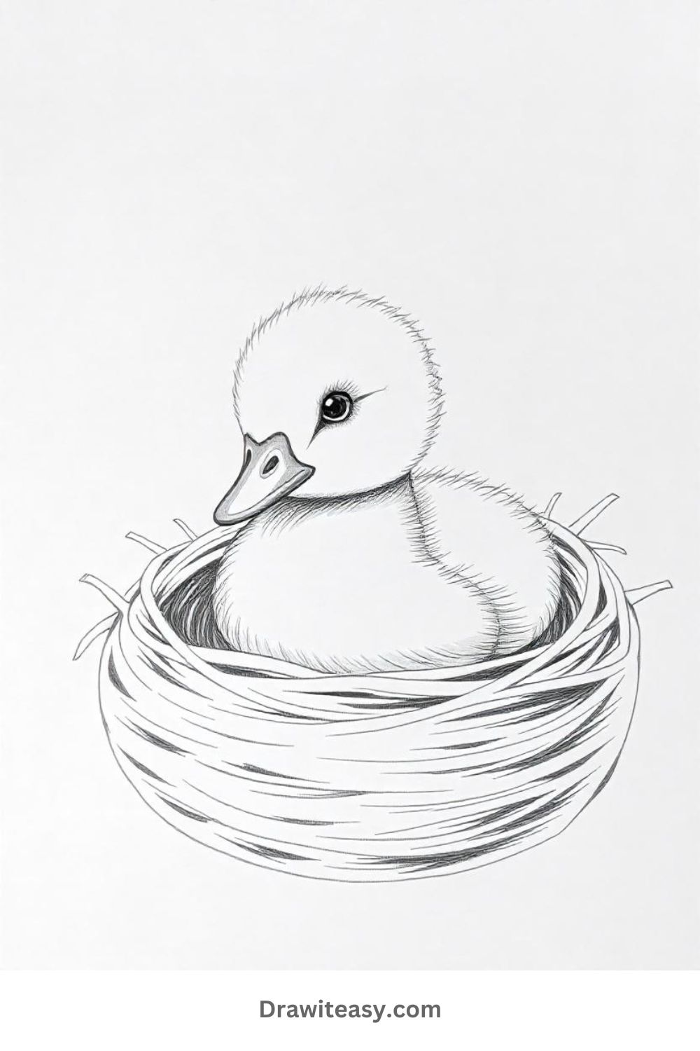 30 Easy Cute Duck Drawing Ideas - Draw It Easy