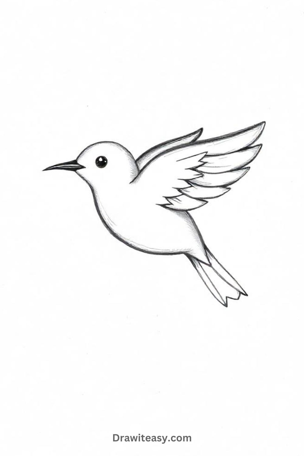 Cute Easy Animals To Draw For Beginners - Draw It Easy