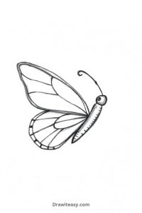 Cute Easy Animals To Draw For Beginners - Draw It Easy