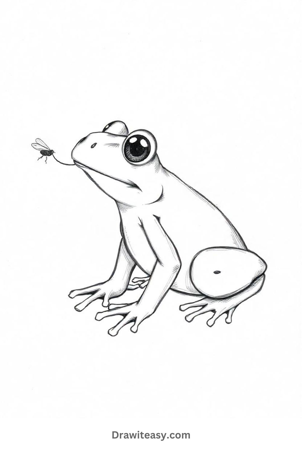 21 Cute Frog Drawing Ideas - Draw It Easy