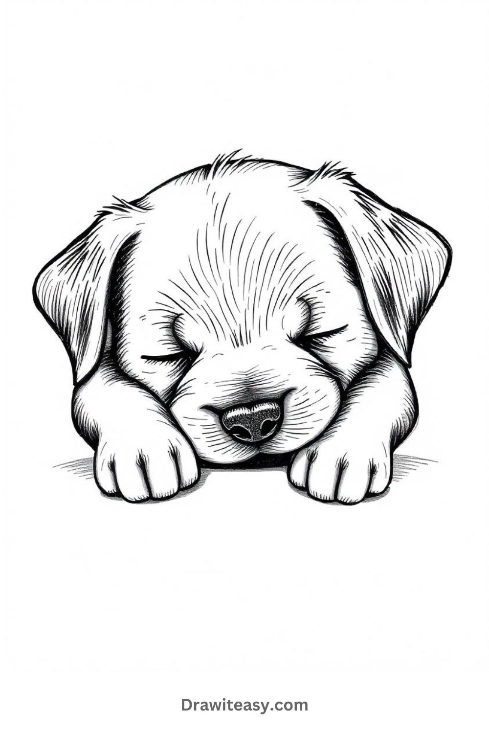30 Cute Easy Dog Drawing Ideas - Draw It Easy