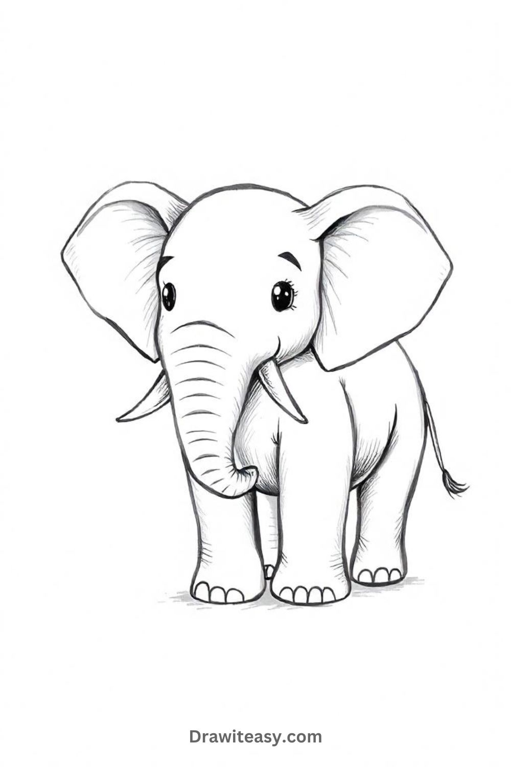 Cute Easy Animals To Draw For Beginners - Draw It Easy