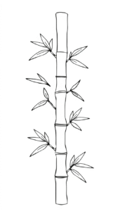 Beautiful Flower Drawing Ideas Anyone Can Try - Draw It Easy