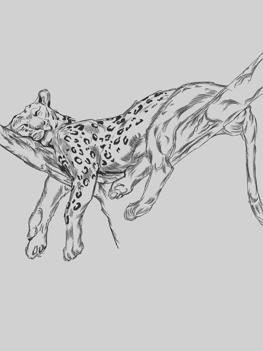 20 Animal Drawing Ideas to Spark Your Creativity and Love for Art ...