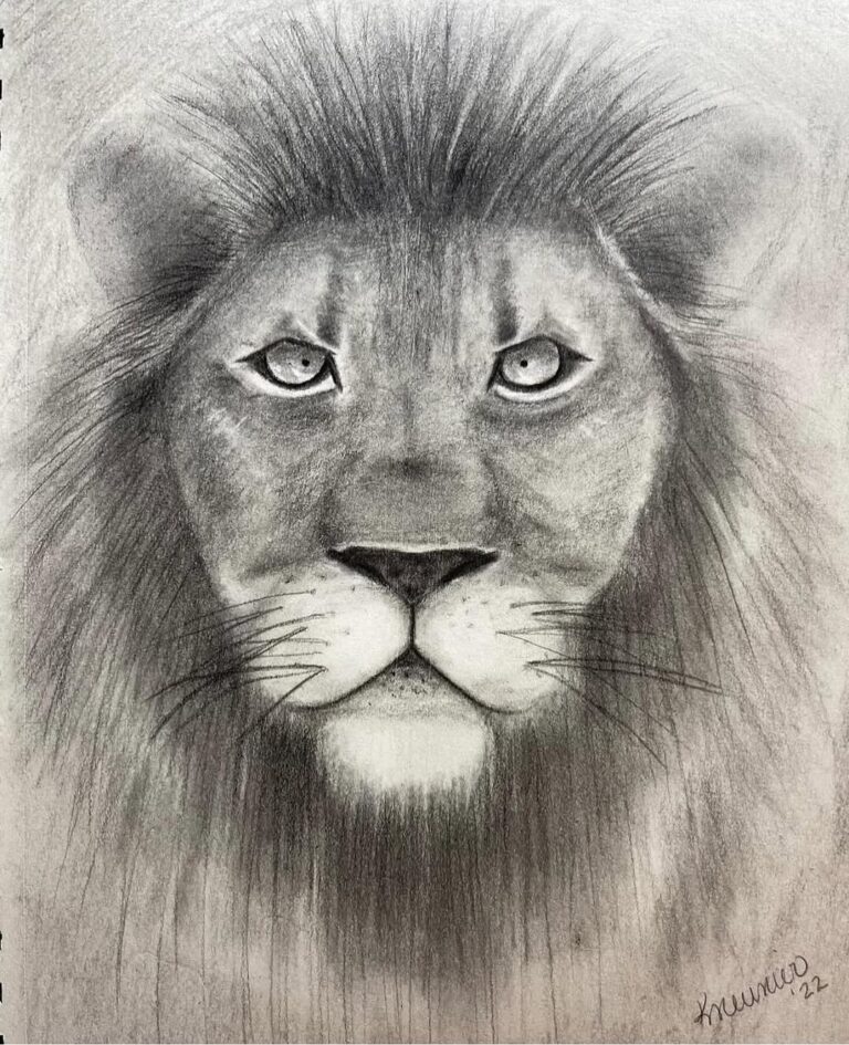 Beautiful Pencil Art Drawings Anyone Can Try (Easy and Creative Ideas ...