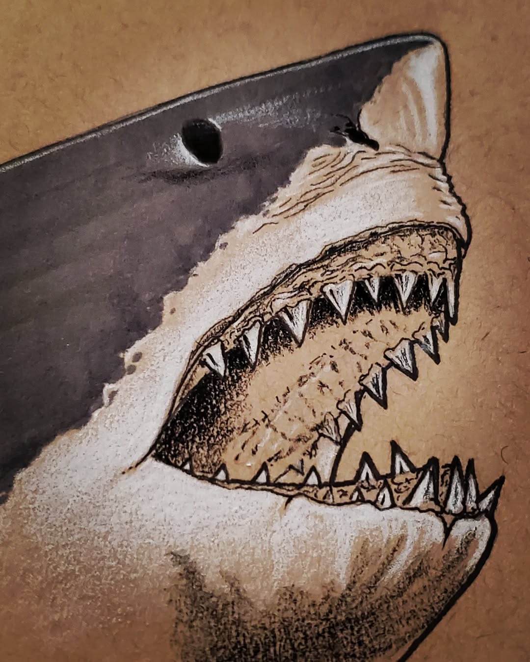 Easy Shark Drawing Ideas for Beginners You’ll Actually Enjoy Trying ...