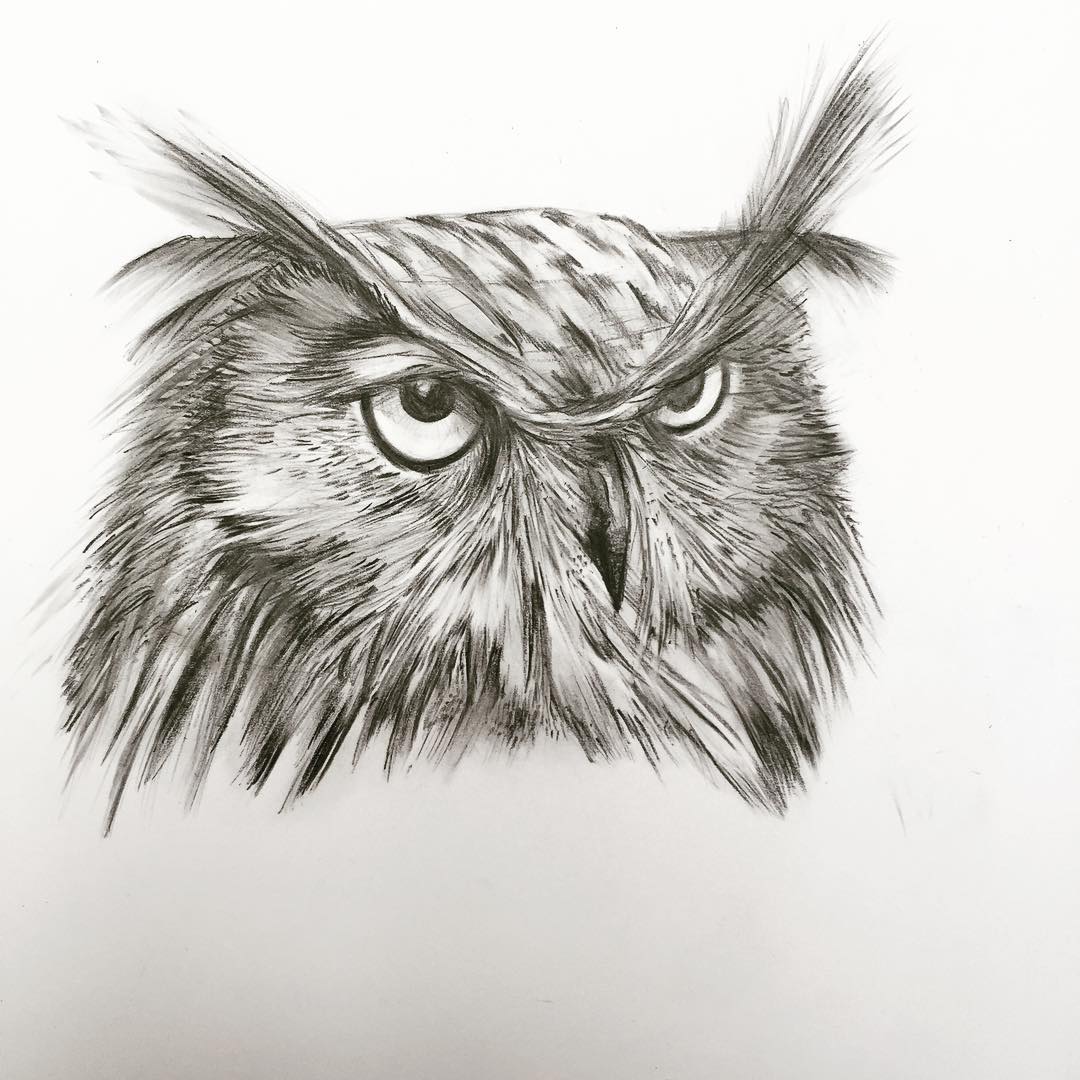 20 Animal Drawing Ideas to Spark Your Creativity and Love for Art ...