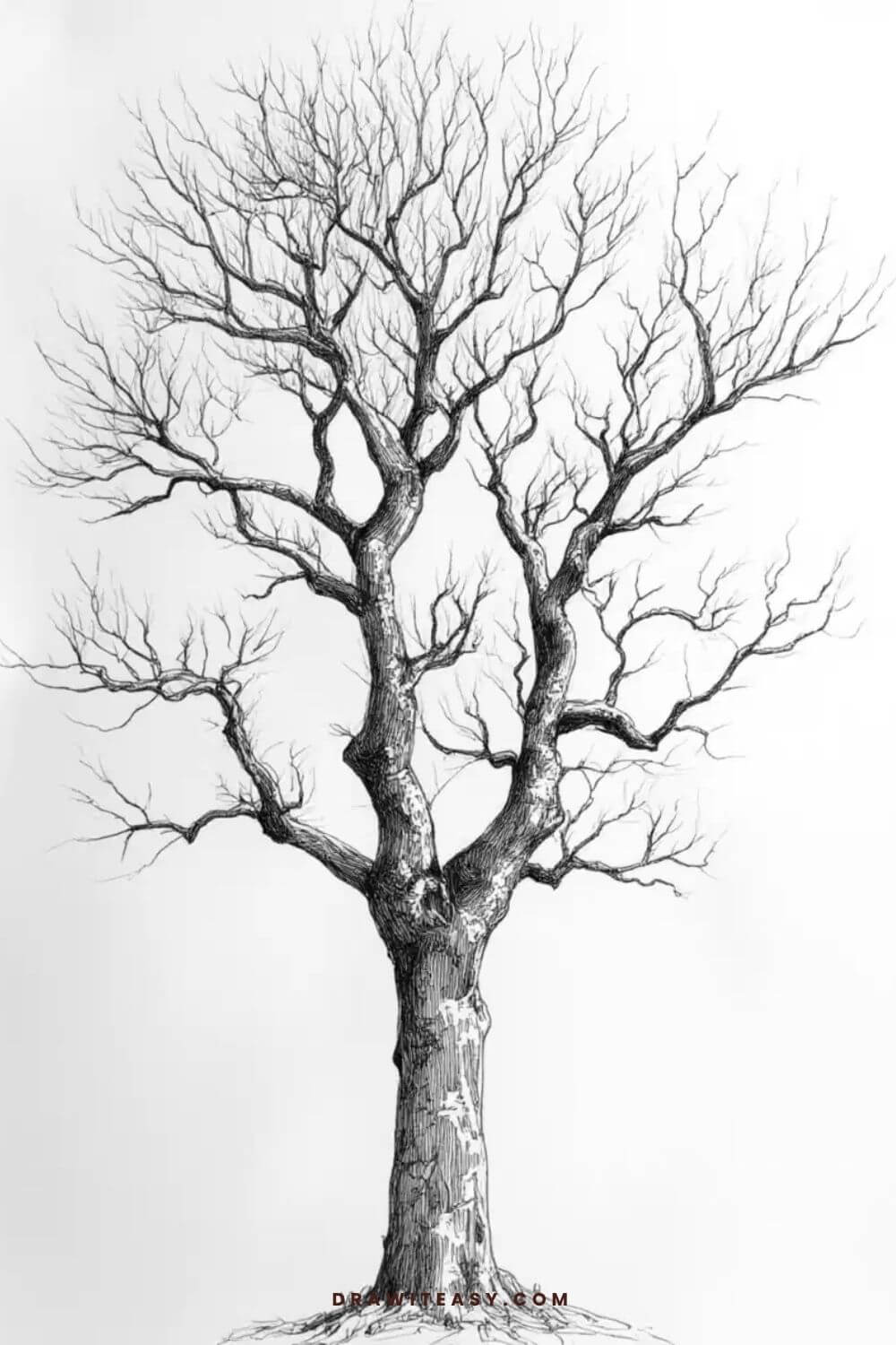 15 Tree Drawing Ideas to Spark Your Creativity (Perfect for Beginners ...